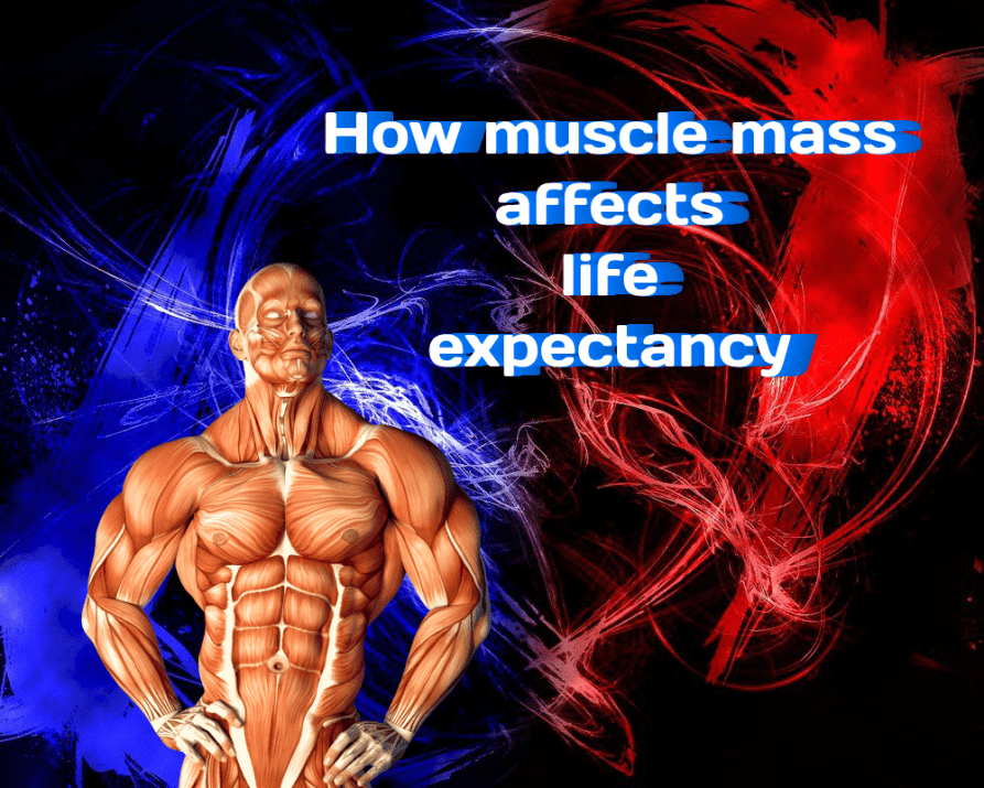 How muscle mass affects life expectancy | Athletic Store