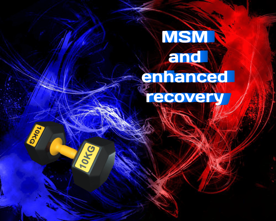 MSM and Enhanced Recovery After Strength Training | Athletic Store
