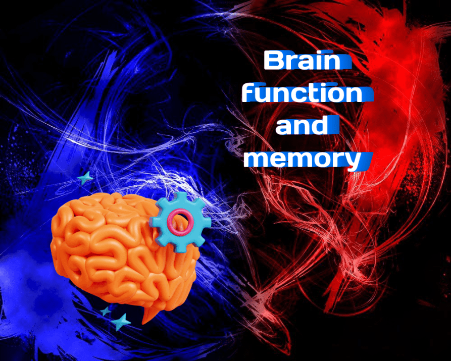 What Improves Brain Function and Memory? | Athletic Store