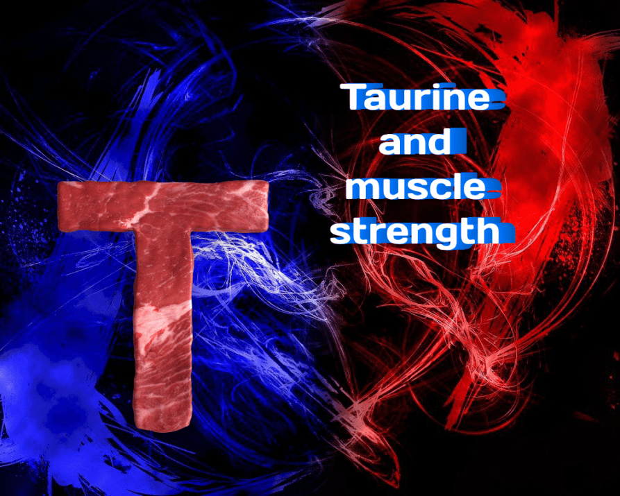 Taurine and Muscle Strength: The Scientific Perspective and Its Impact ...